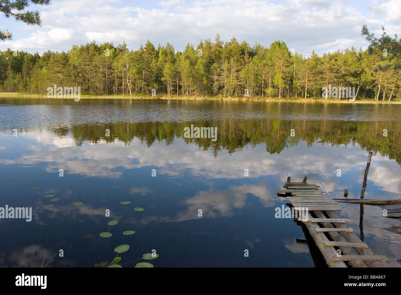 Forest sky pier hi-res stock photography and images - Alamy