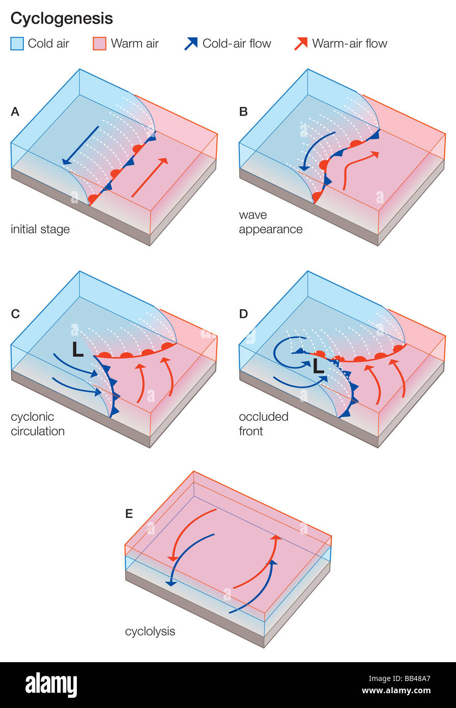 Extratropical Cyclone Life Cycle