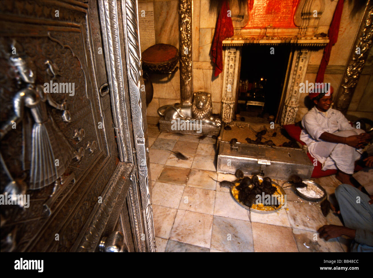 Priest in Karni Mata temple at Deshnoke, Rajasthan, India Stock Photo ...