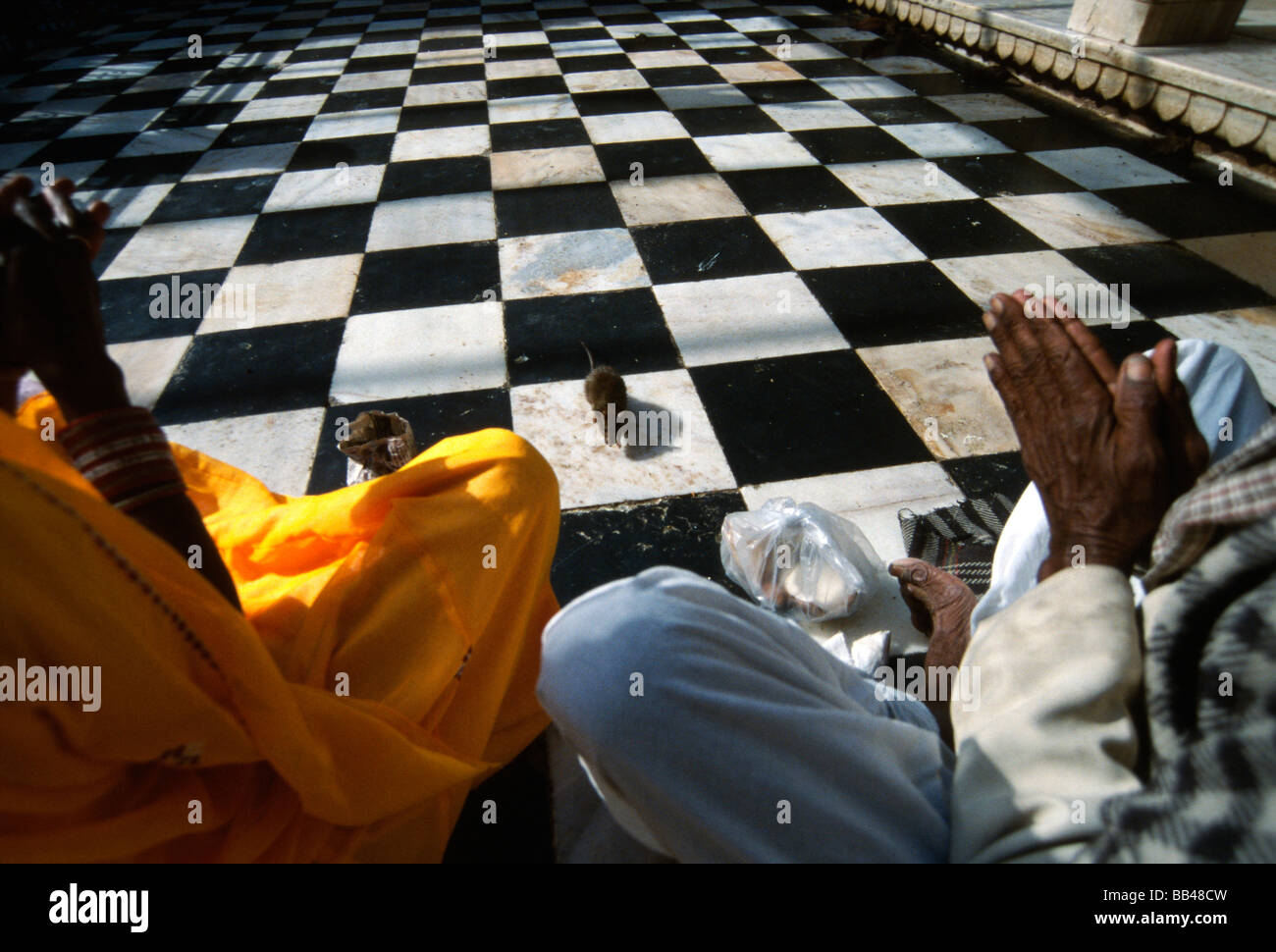 Pilgrims praying in the inner courtyard of the Karni Mata temple at ...
