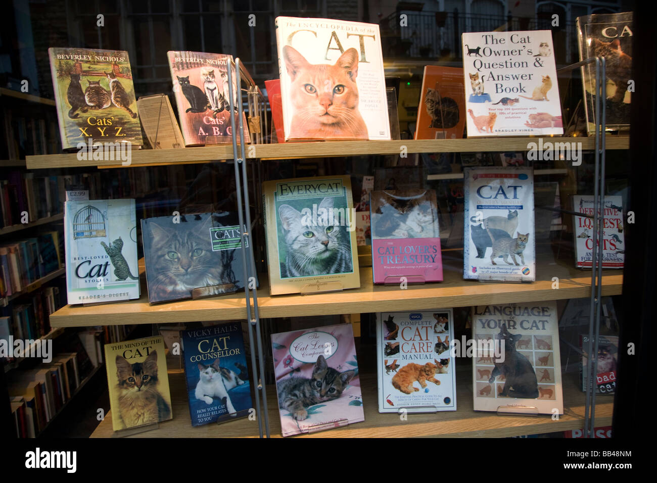 Bookshop window display hi-res stock photography and images - Alamy