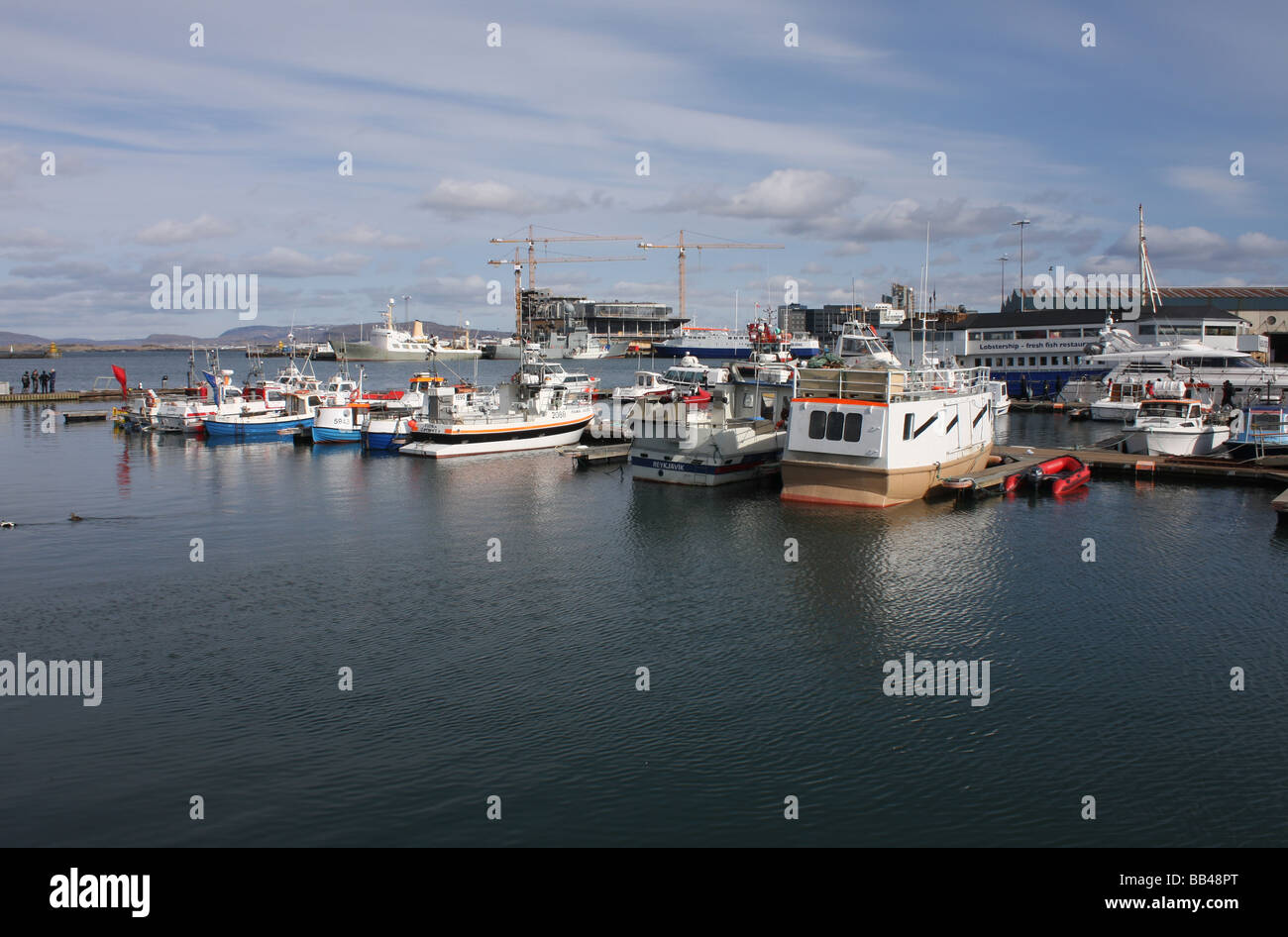 Reykjavik harbour, Iceland Stock Photo - Alamy