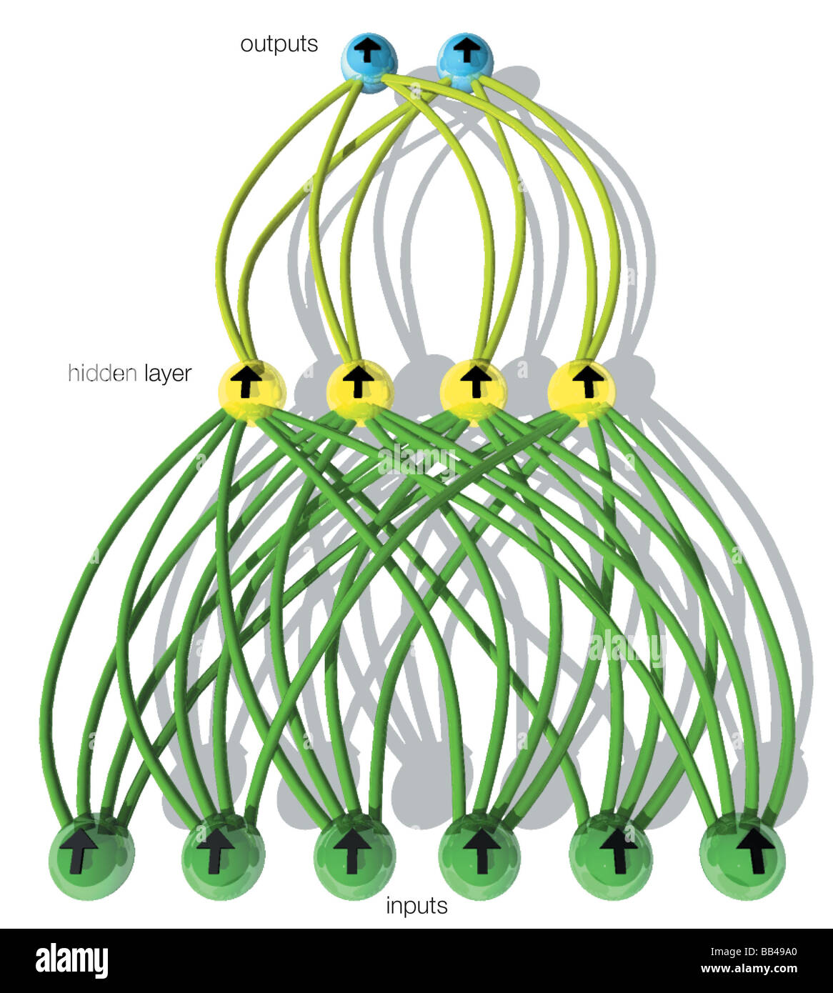In A Simple Feedforward Neural Network All Signals Flow In One Direction From Input To Output
