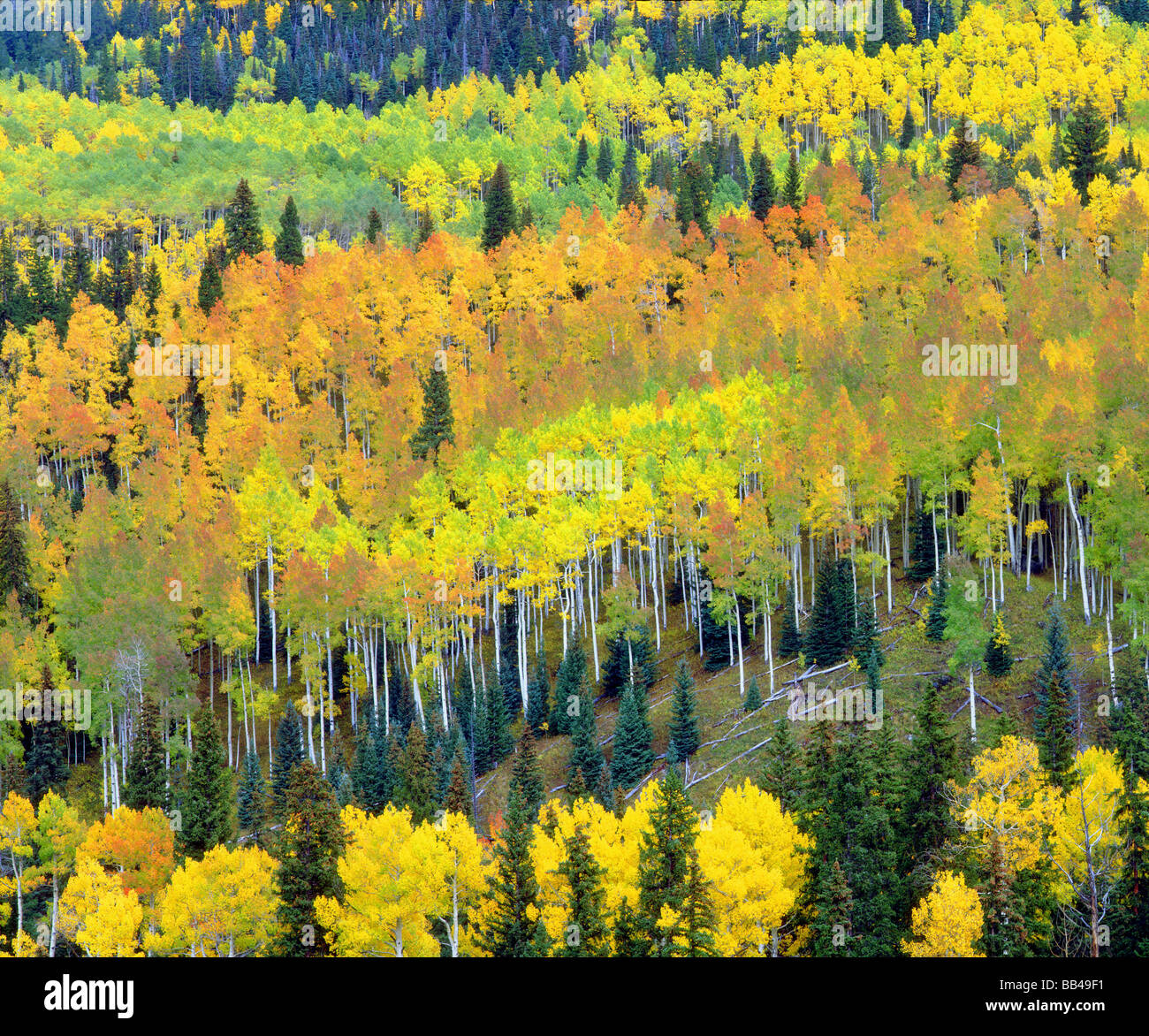 The gallery aspen colorado hi-res stock photography and images - Alamy