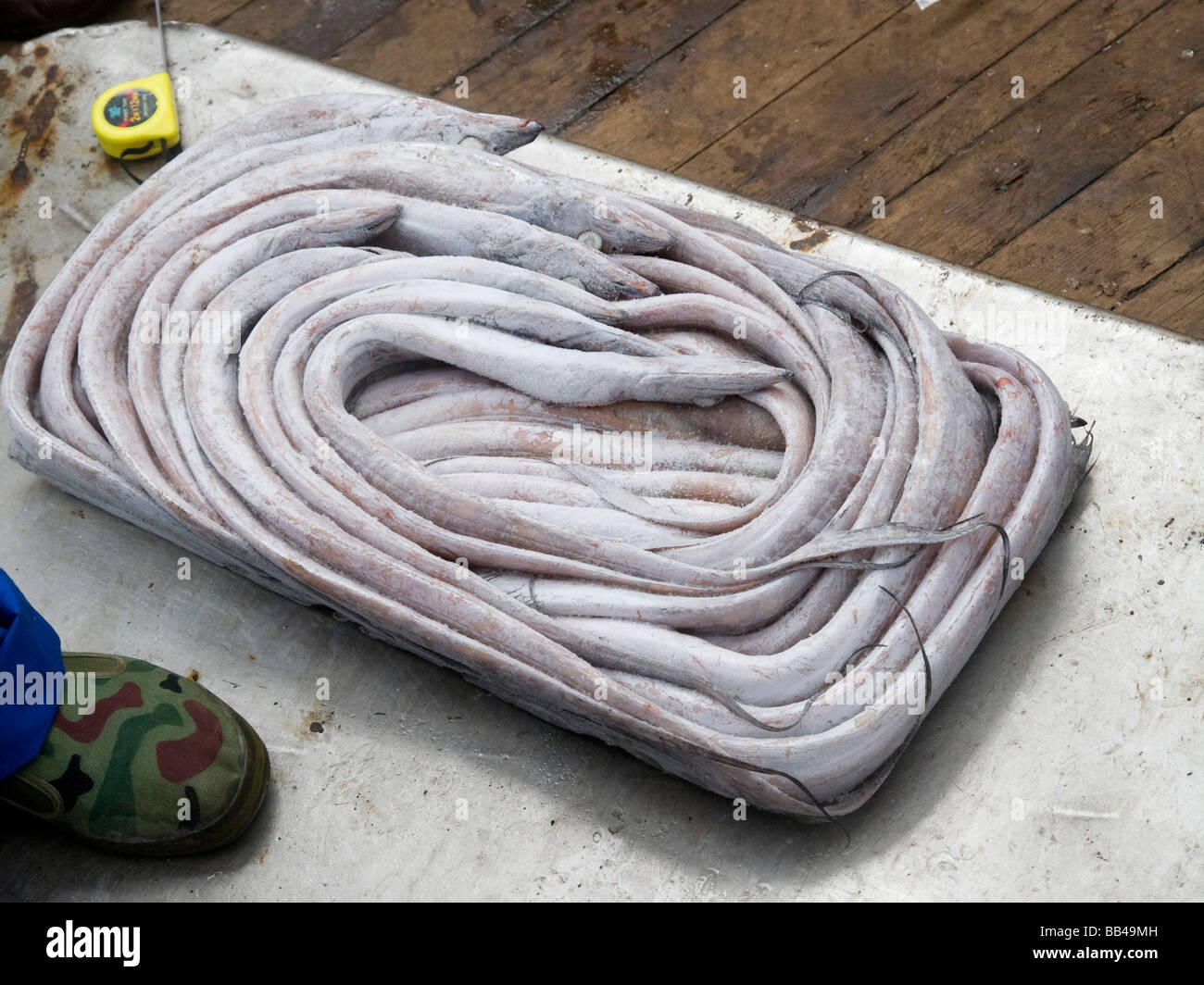 Monrovia liberia fish hi-res stock photography and images - Alamy