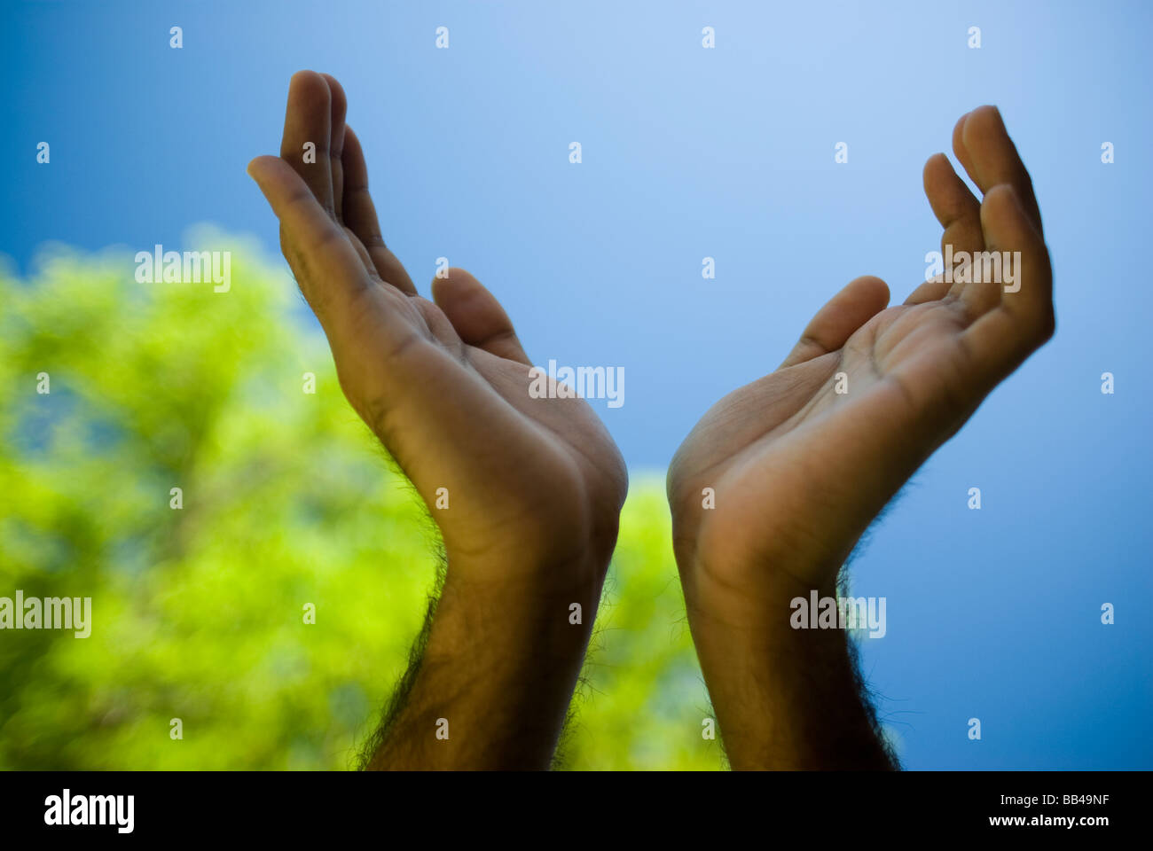 Two open hands reach out into the sky Stock Photo - Alamy