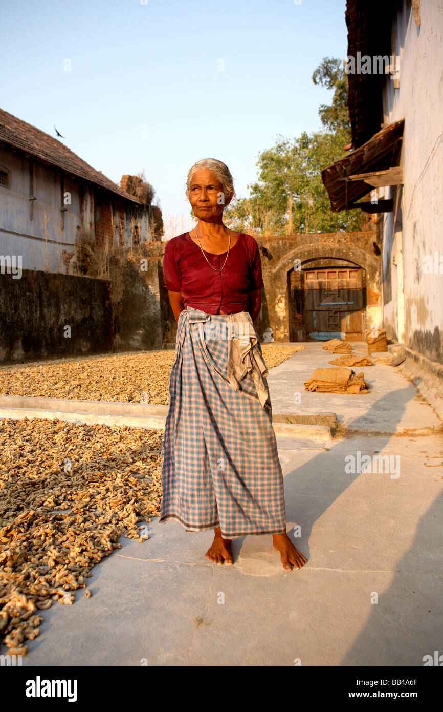 A woman poses for a portrait in a ginger processing plant, Fort Cochin ...