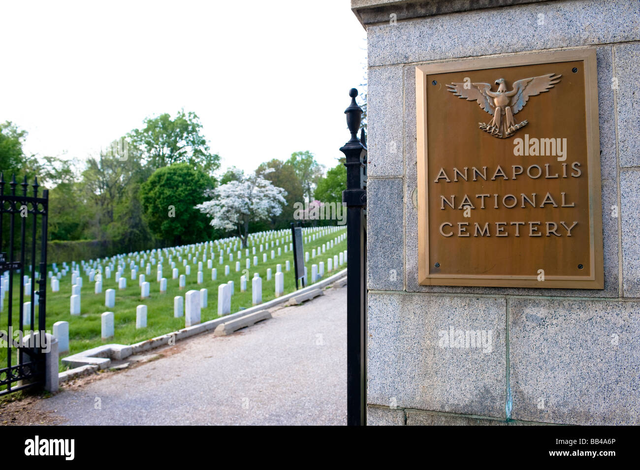 A view of the entrance gate and rows of white gravestones at the ...