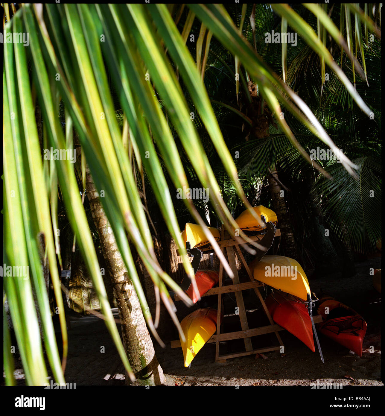Stacked palm leaves hi-res stock photography and images - Alamy
