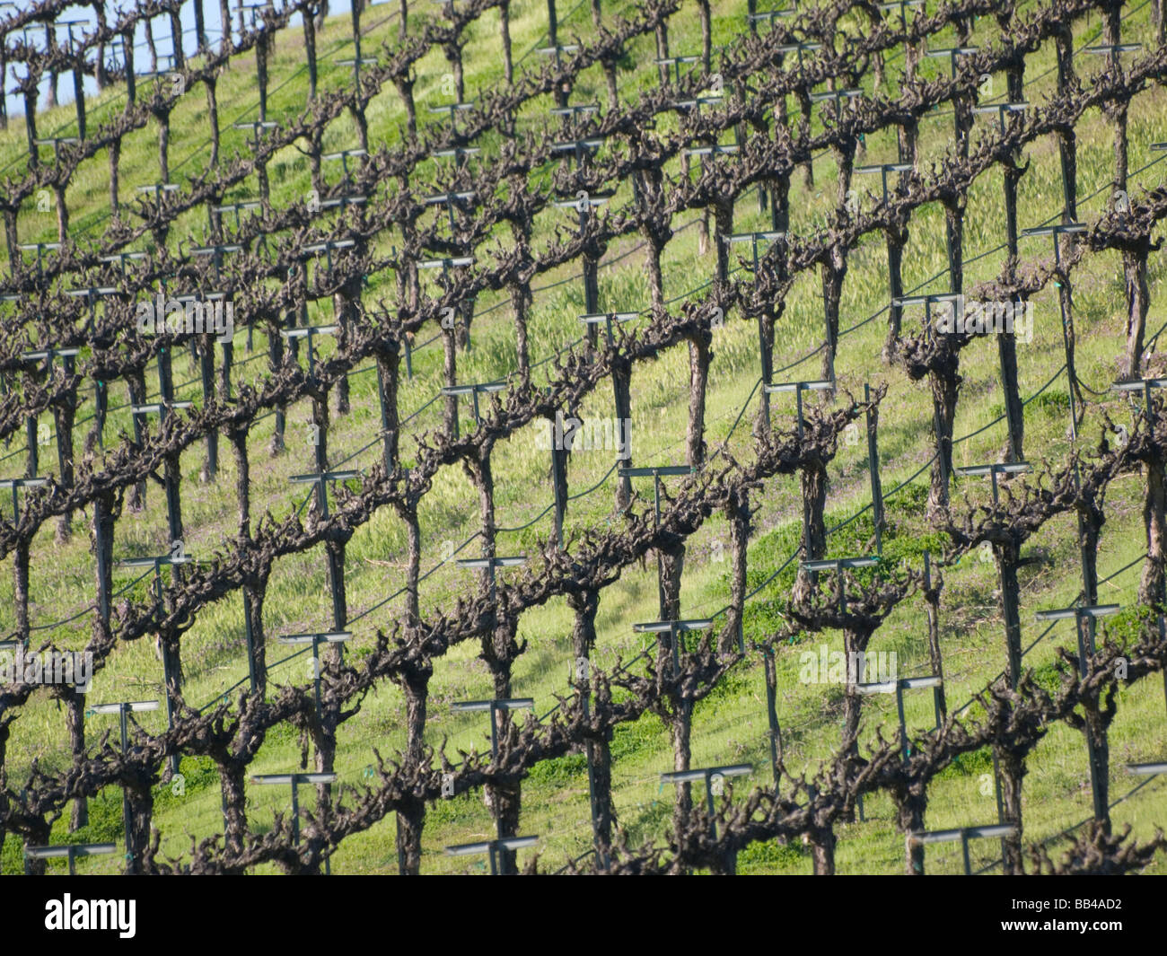 Early california agriculture hi-res stock photography and images - Alamy