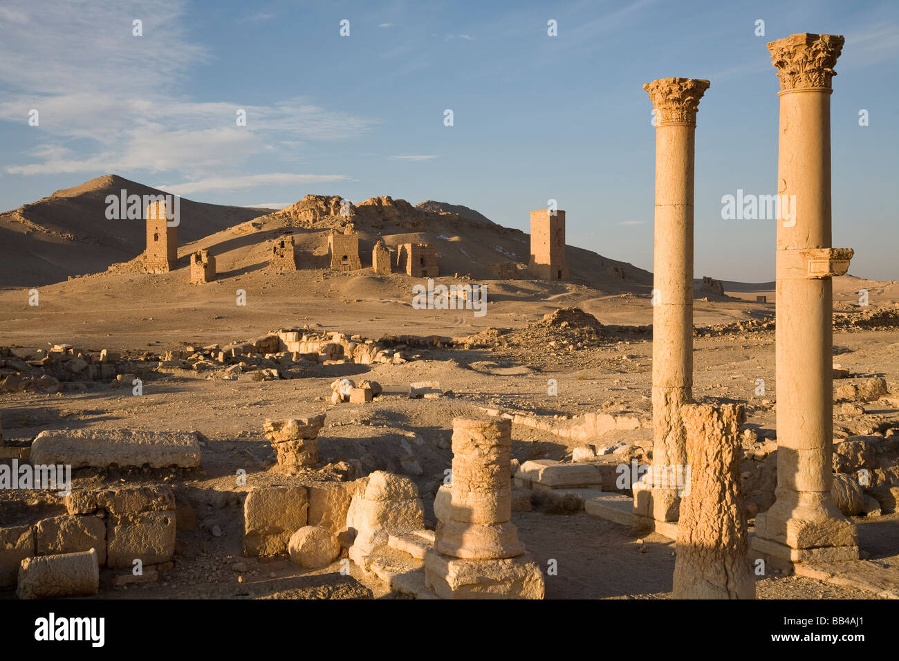 Roman ruins in the desert oasis of Palmyra, Syria Stock Photo - Alamy