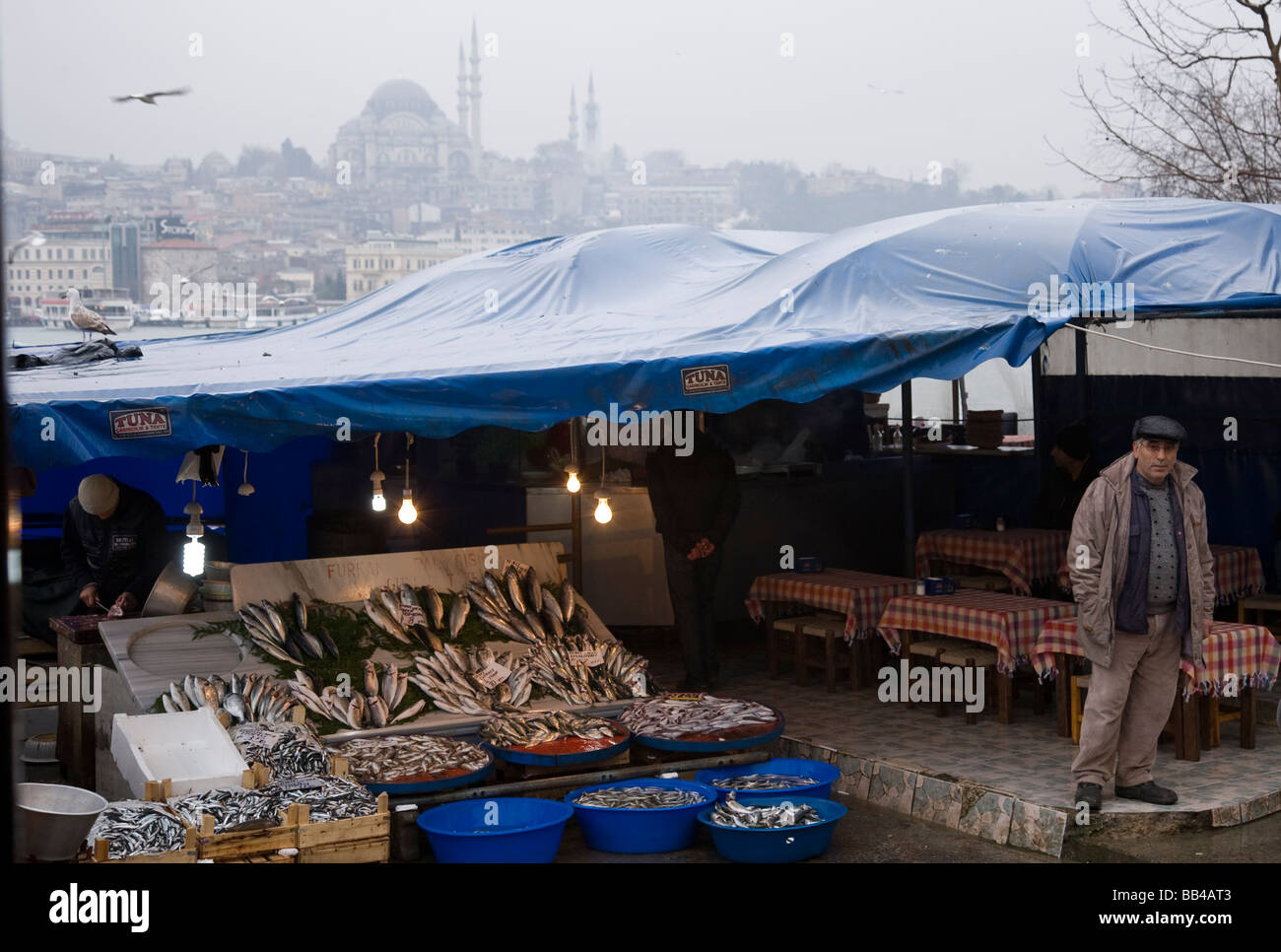 Fish market in Istanbul, Turkey Stock Photo - Alamy