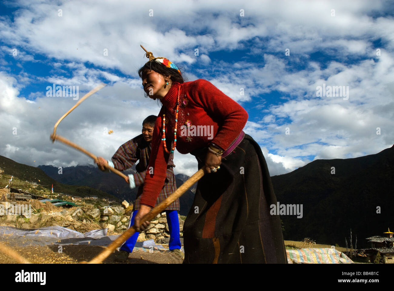 A woman threshes barley the old way in Laya, Bhutan Stock Photo - Alamy