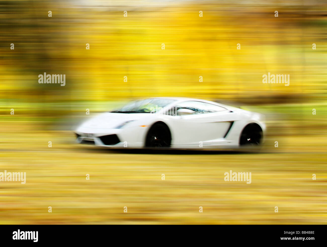 White lamborghini car hi-res stock photography and images - Alamy