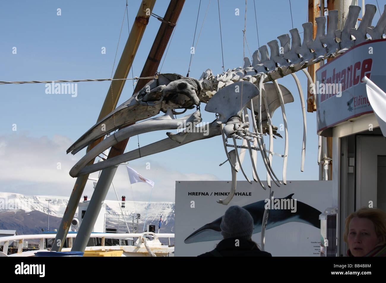 Boat skeleton hi-res stock photography and images - Alamy