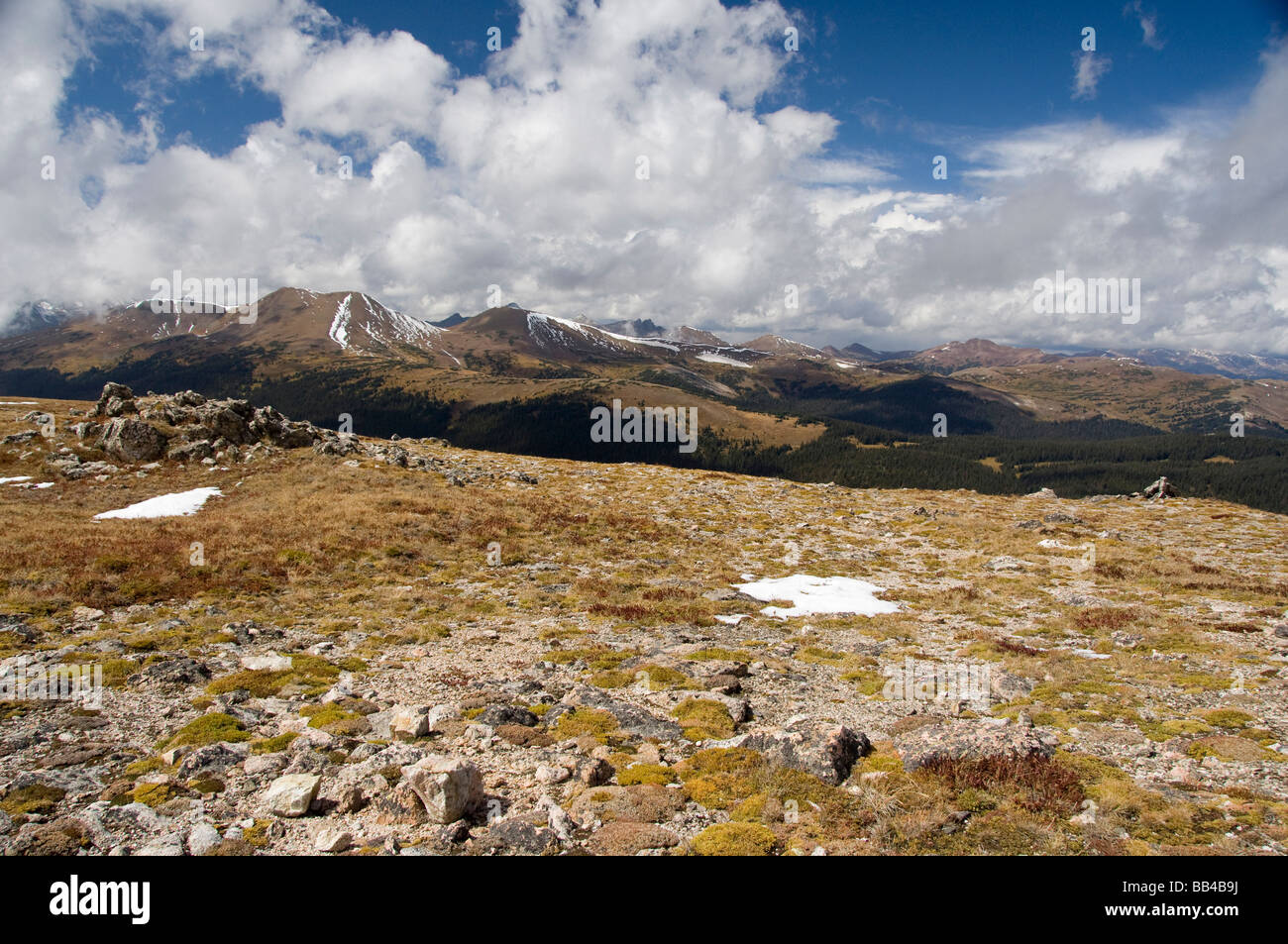 Colorado, Rocky Mountain National Park. Trail Ridge Road, Fall River ...
