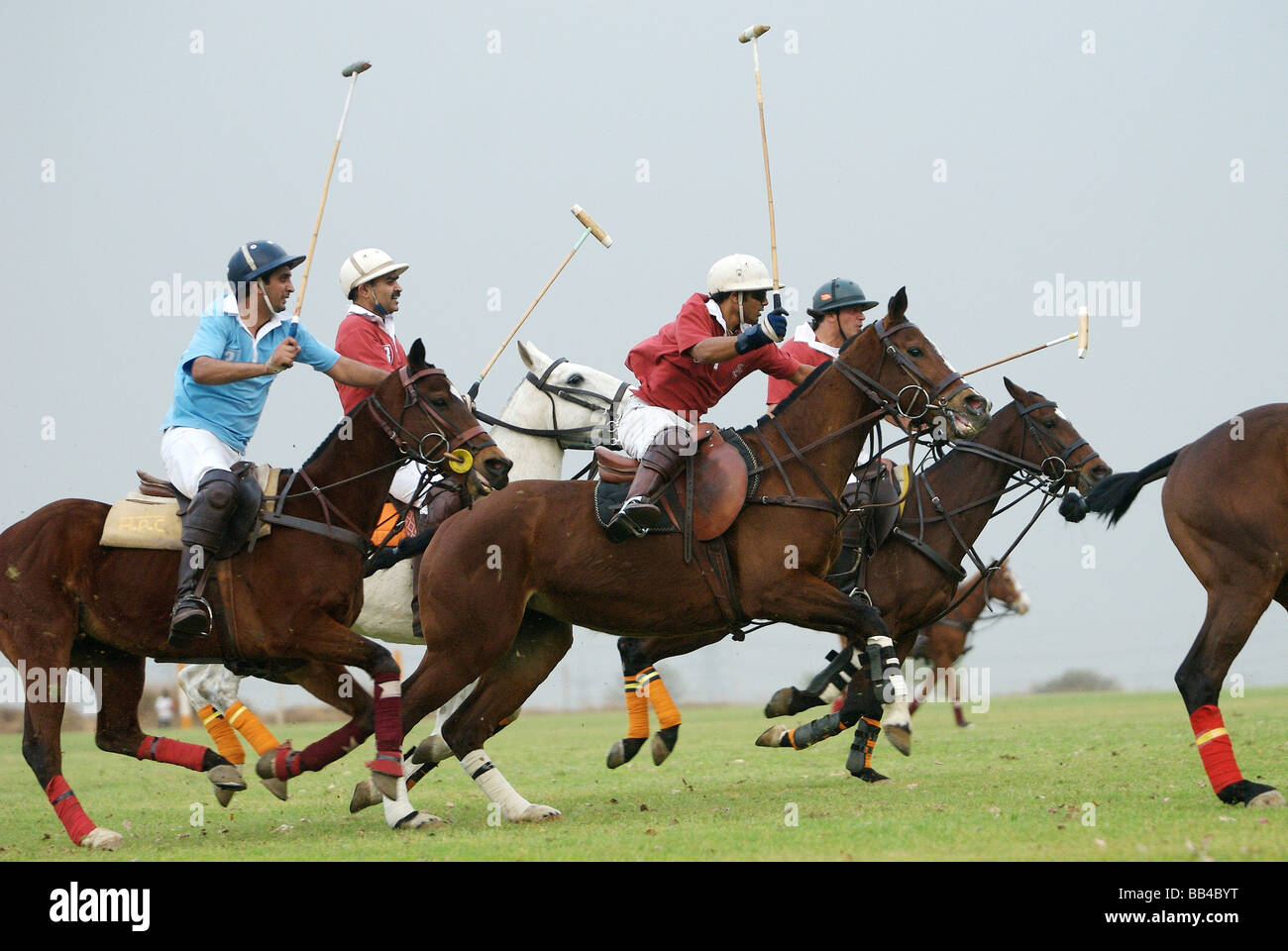 A polo tournament Stock Photo - Alamy