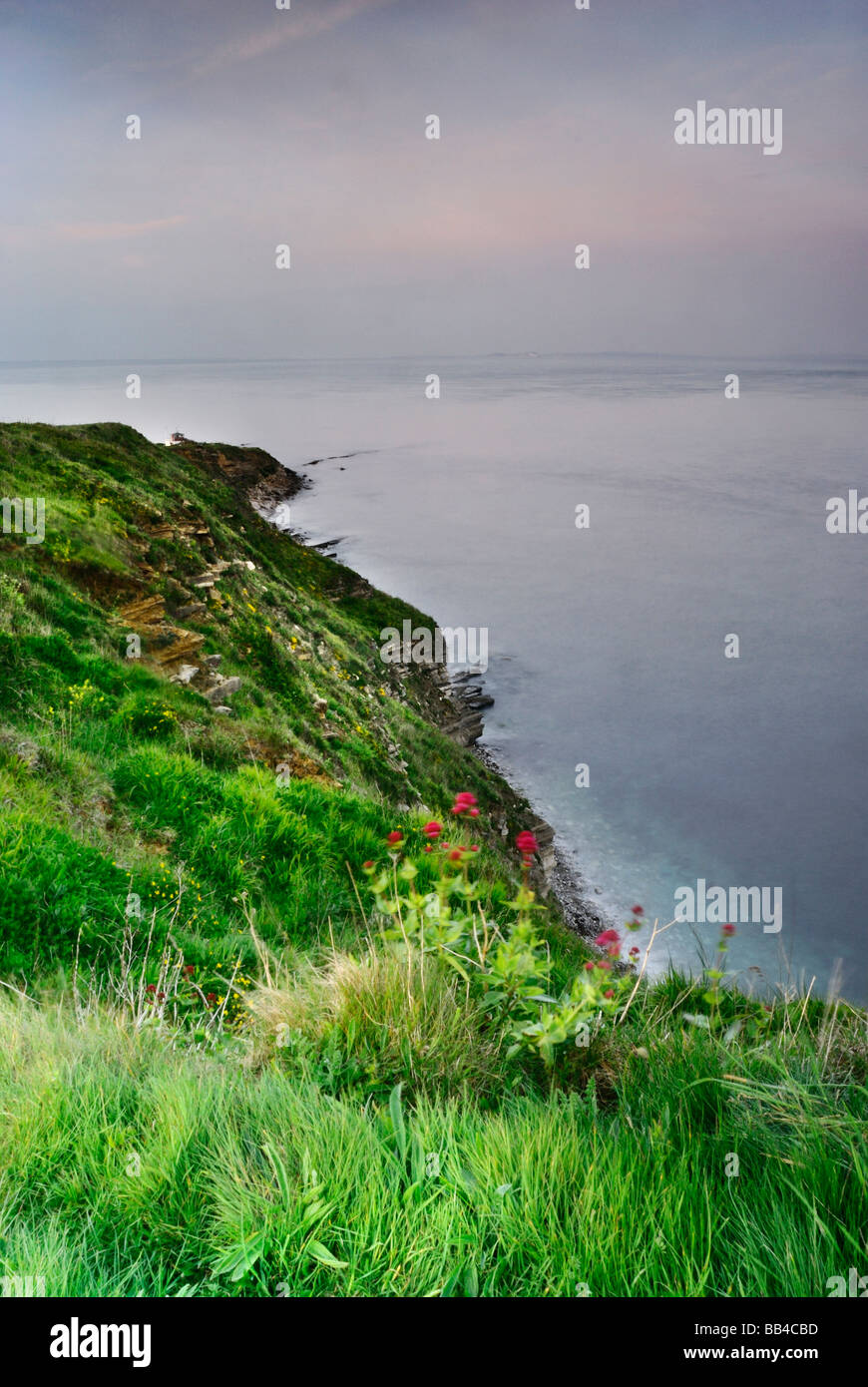 looking across Durlston Bay towards Peveril point Dorset England UK ...