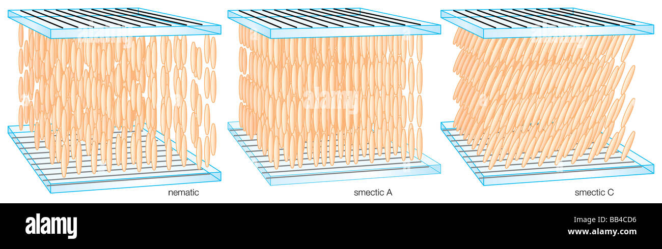 Liquid crystal arrangements - nematic, smectic A, and smectic C - used ...