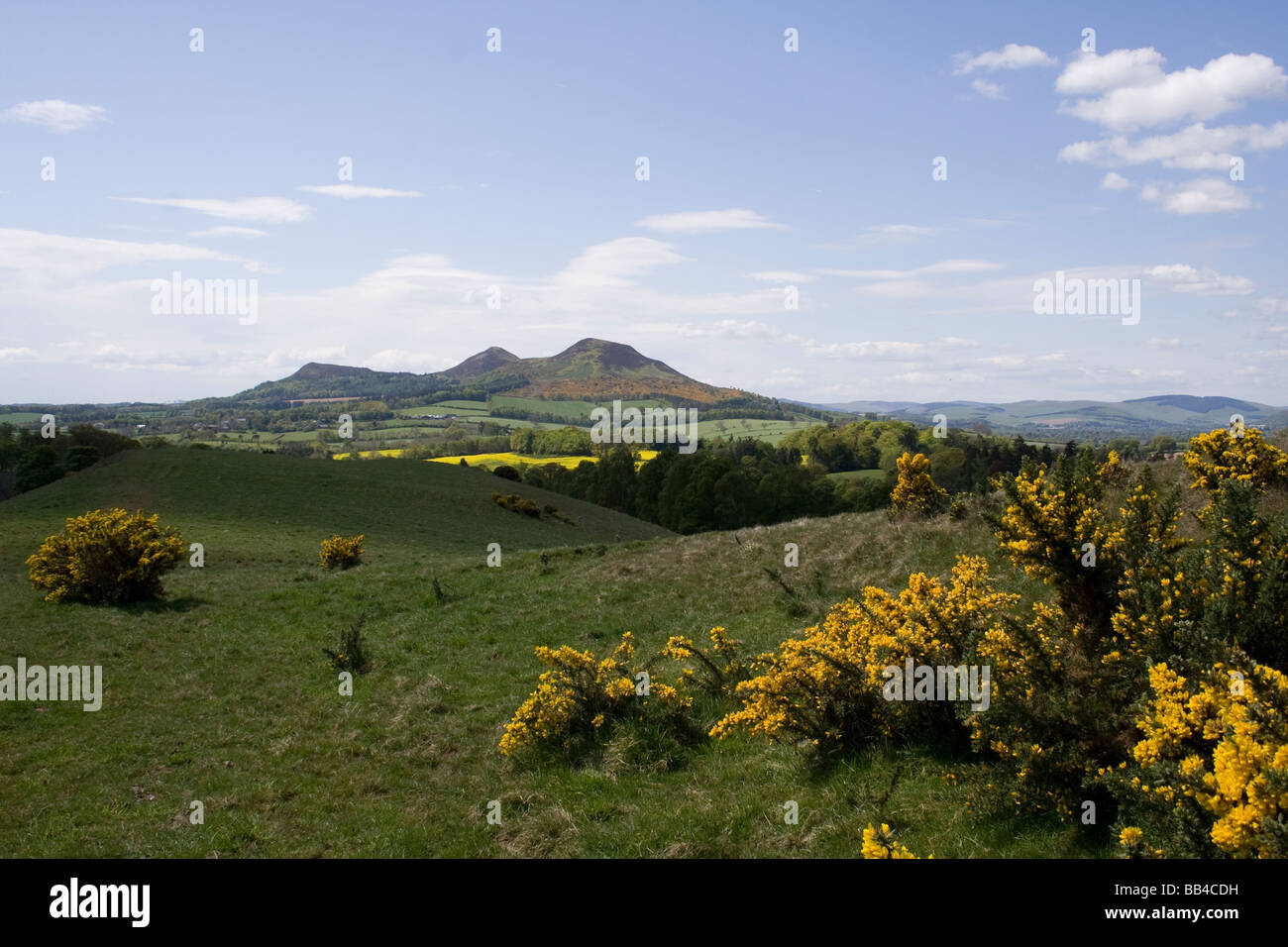 Walter scott's view hi-res stock photography and images - Alamy