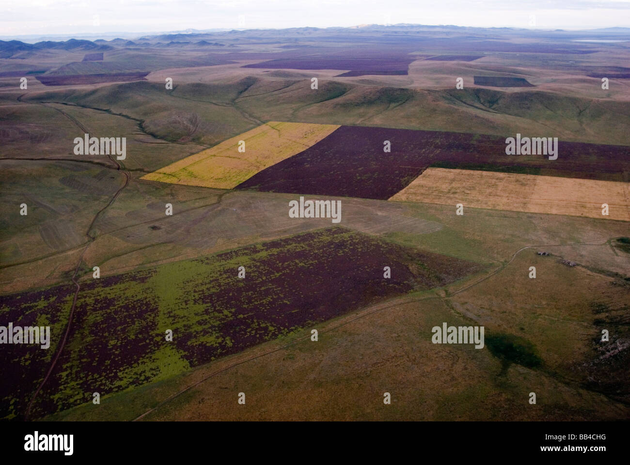 Aerial of steppe grasslands, Mongolia Stock Photo - Alamy