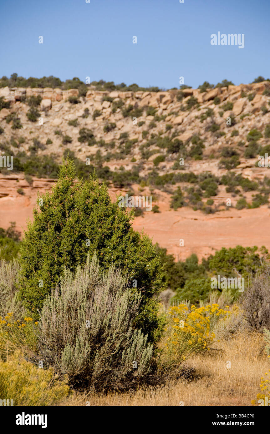 Grand junction landscape hi-res stock photography and images - Alamy