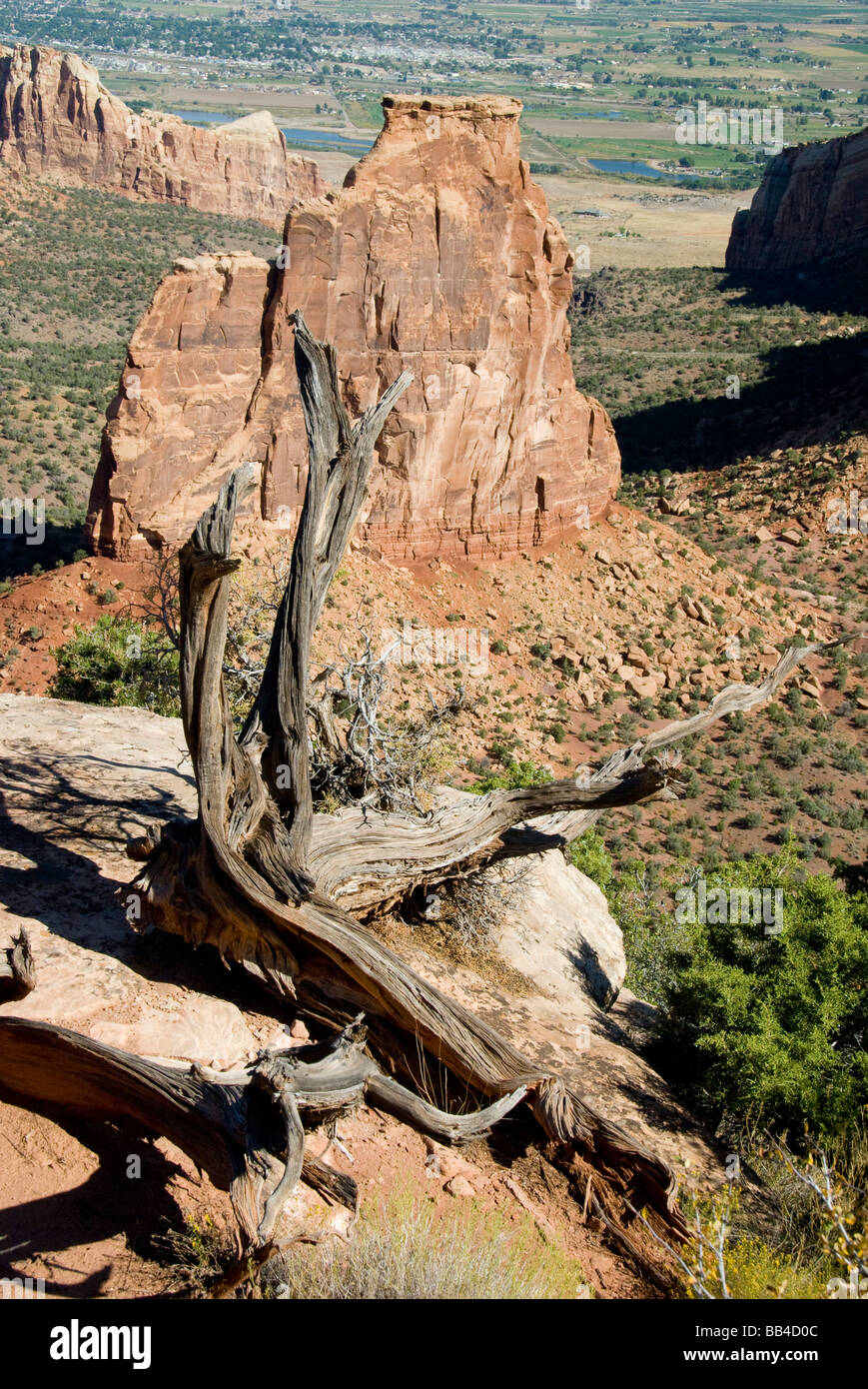 Colorado, Grand Junction, Colorado National Monument. Independence Rock ...