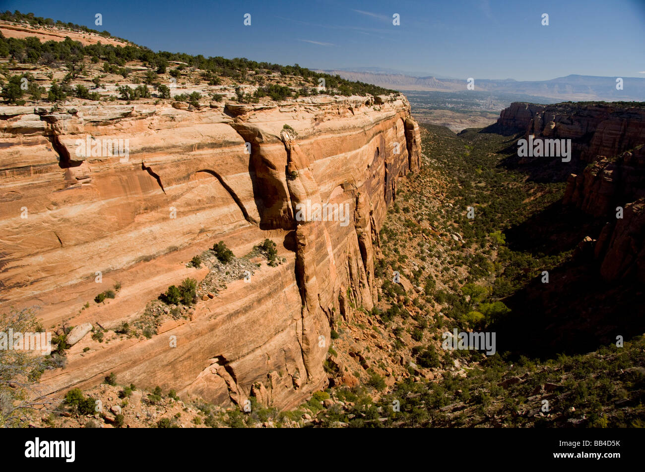 Colorado, Grand Junction, Colorado National Monument. Red Canyon Stock ...