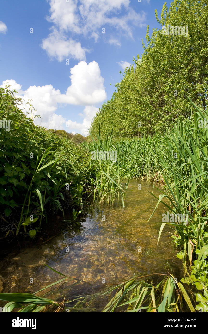 Watercourse sky hi-res stock photography and images - Alamy