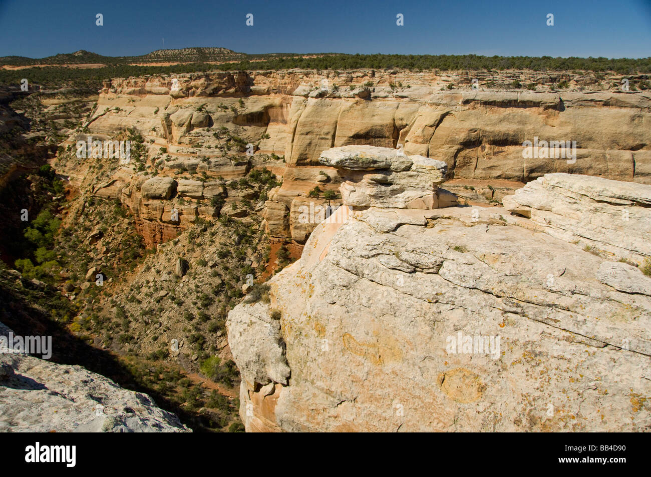 Cold Shivers Point High Resolution Stock Photography and Images - Alamy