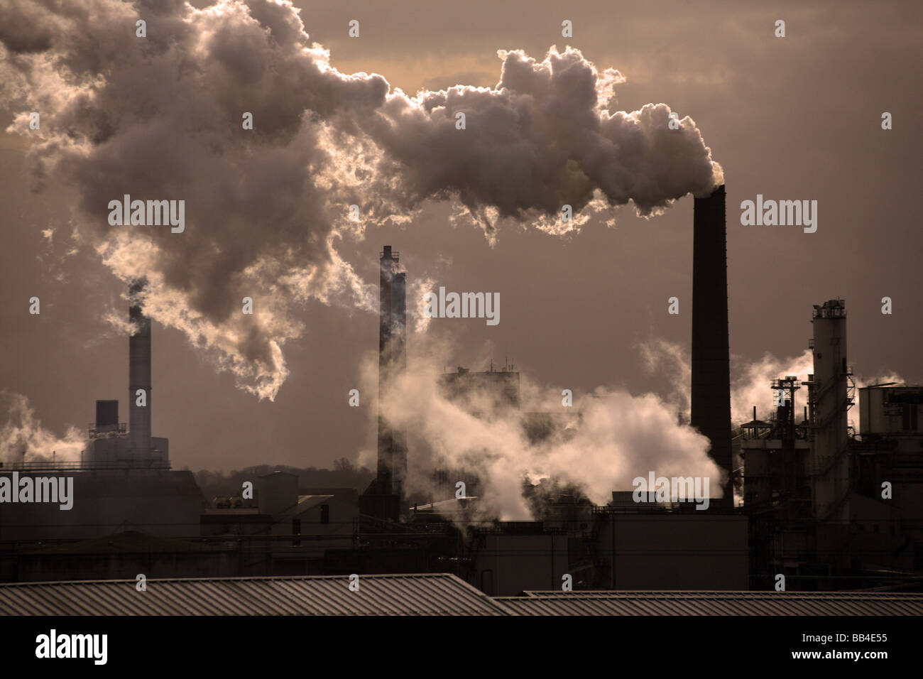 SUGAR BEET FACTORY IN BURY ST EDMUNDS HOME OF BRITISH SUGAR Stock Photo ...