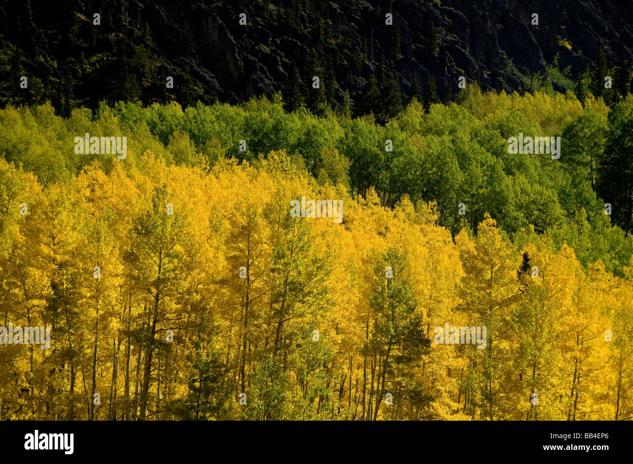Colorado, US Hwy 550 , Red Mountain Pass between Ouray & Silverton. San ...