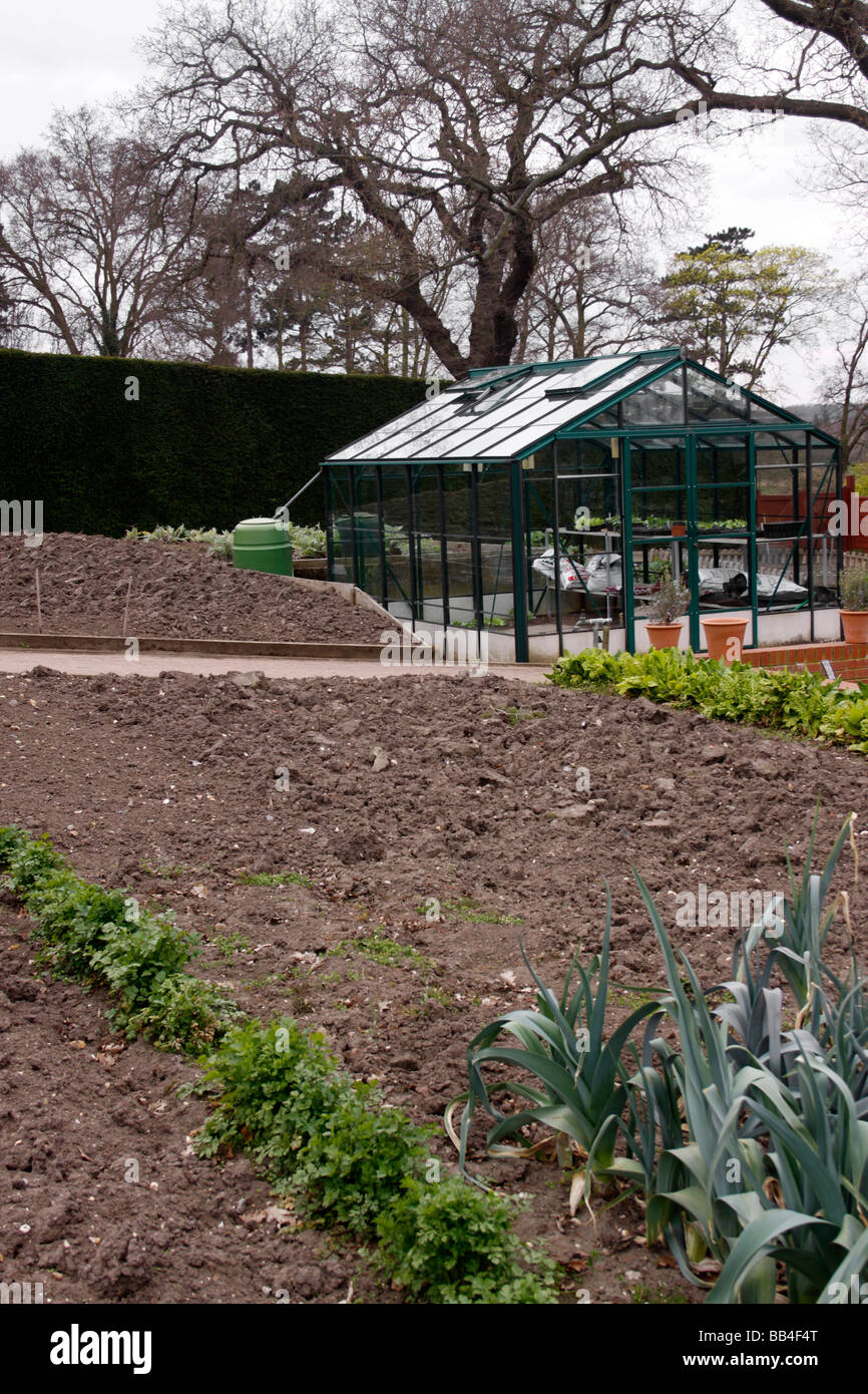 PREPARED ALLOTMENT VEGETABLE GARDEN EARLY SPRING Stock Photo - Alamy