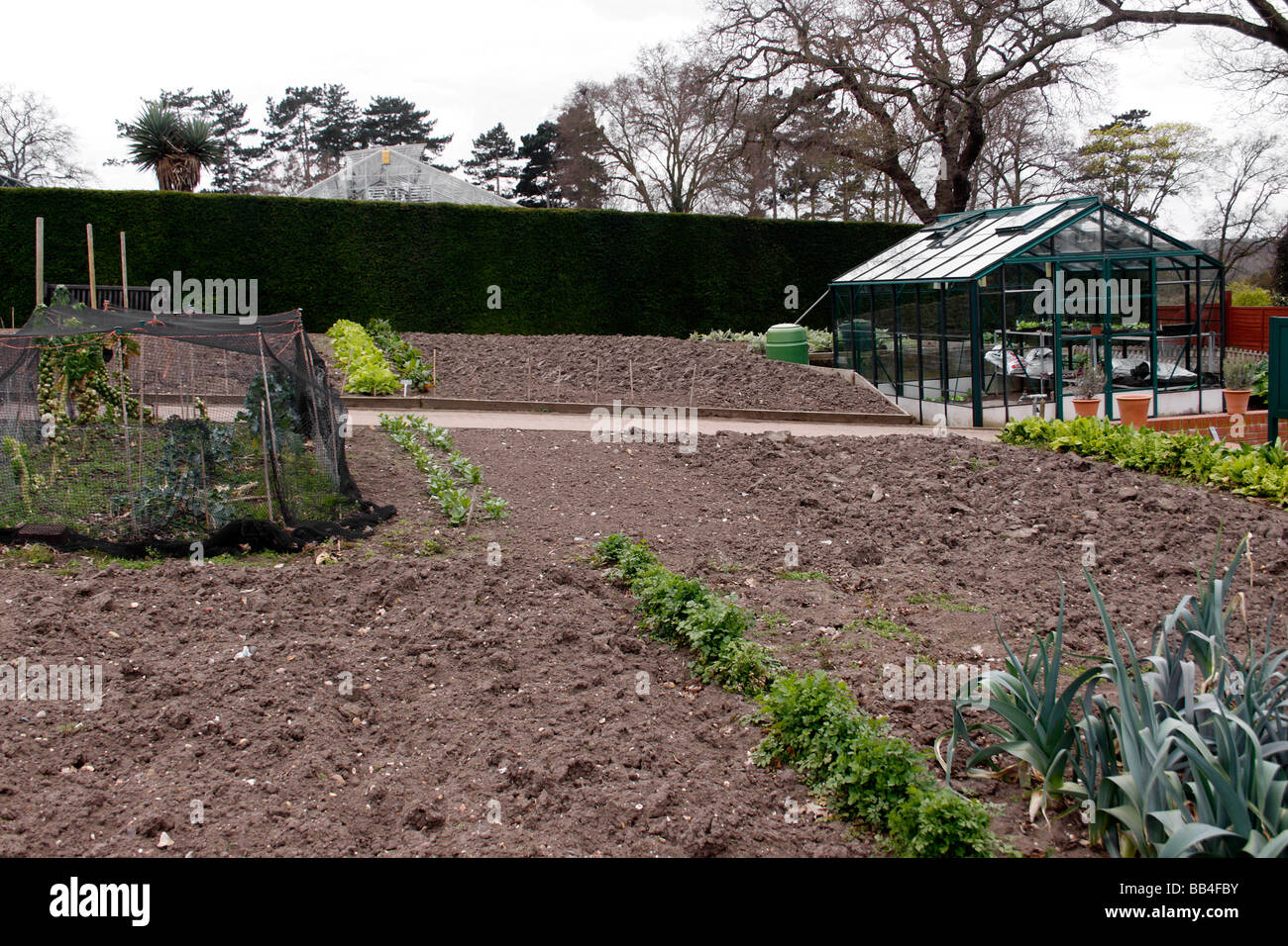 PREPARED ALLOTMENT VEGETABLE GARDEN EARLY SPRING Stock Photo - Alamy
