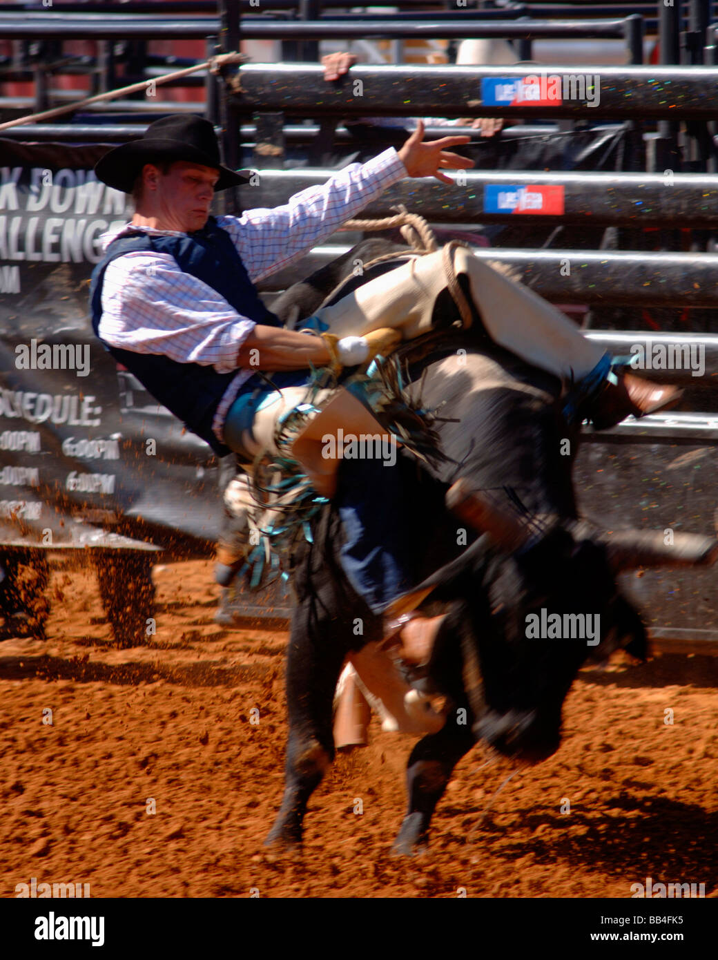 Rodeo bull rider performance at the Texas State Fair rodeo arena/Dallas ...