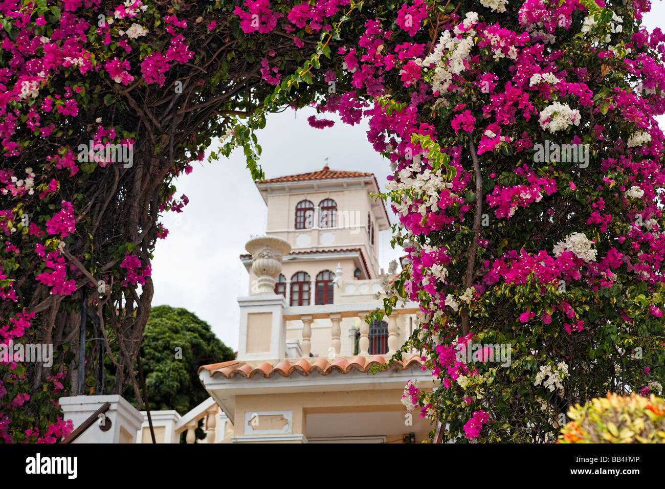 View of a Mansion Through an Arch of Flowers Seralles Castle Ponce ...