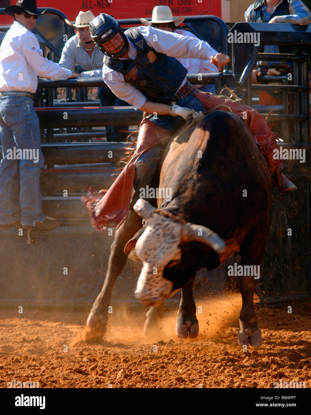 Rodeo bull rider performance at the Texas State Fair rodeo arena/Dallas ...
