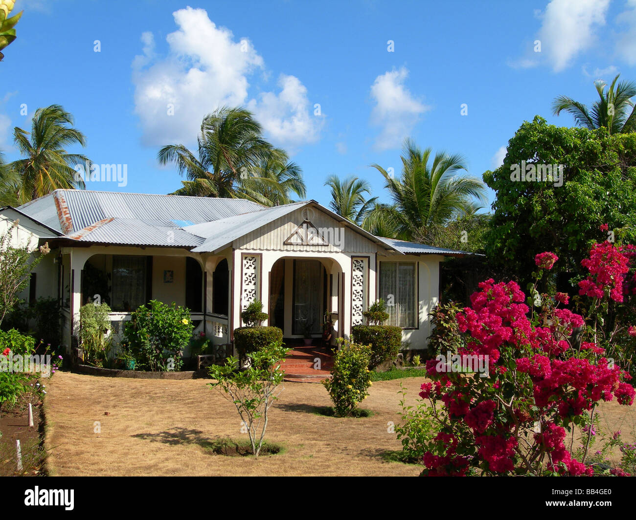 native house with zinc sheet metal roof and palm trees and flowers in ...
