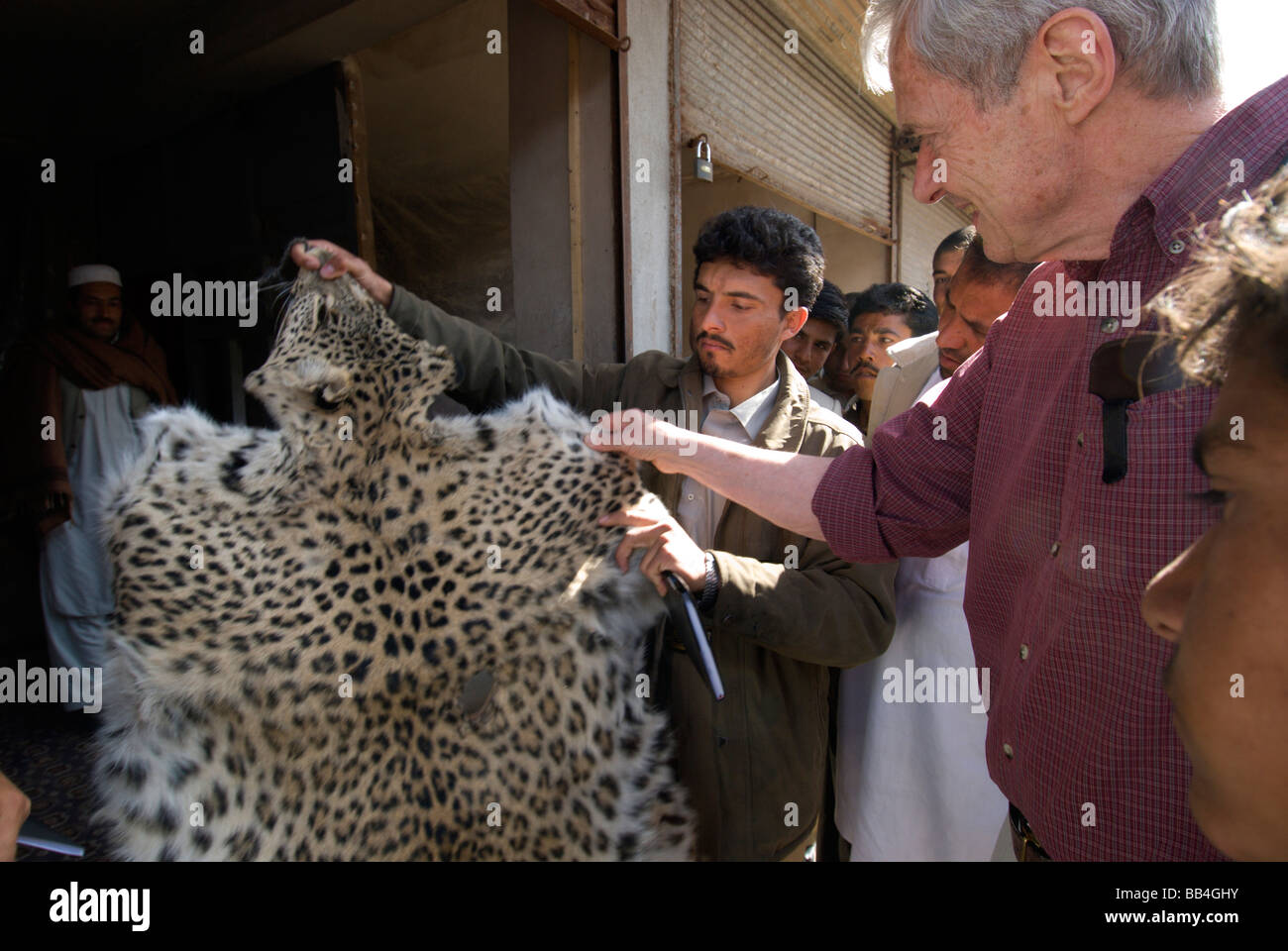 A wildlife biologist examines a leopard skin being sold in the bazaar ...