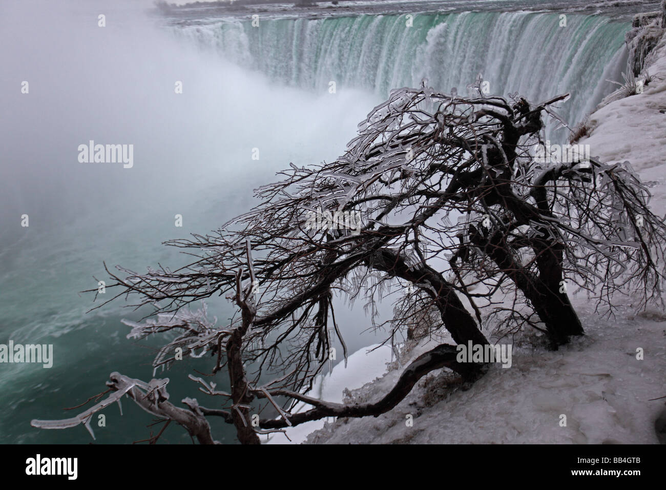 Trees with frozen ice over Horseshoe Falls - Niagara Falls - Canada ...