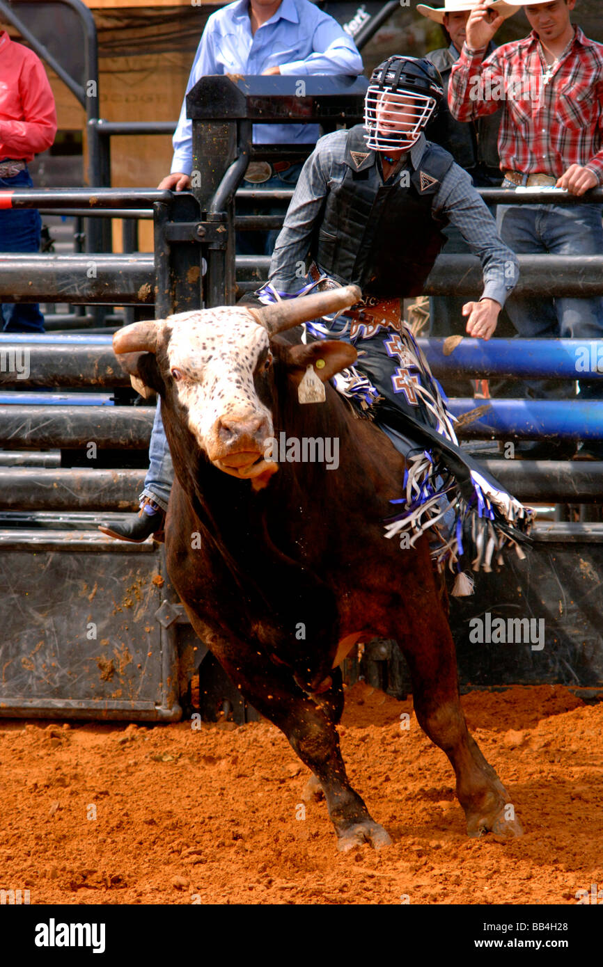 Historical state fair of texas hi-res stock photography and images - Alamy