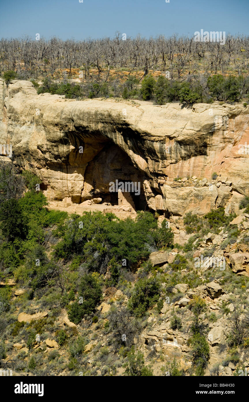 Colorado, Mesa Verde National Park. Sun Point View pull out, Cliff ...