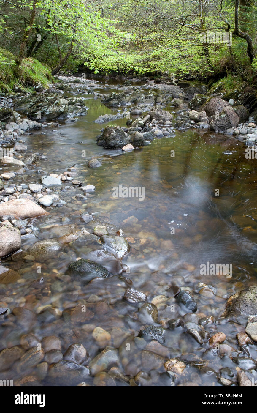 River flowing beneath spring foliage Sutherland's Grove near Oban ...
