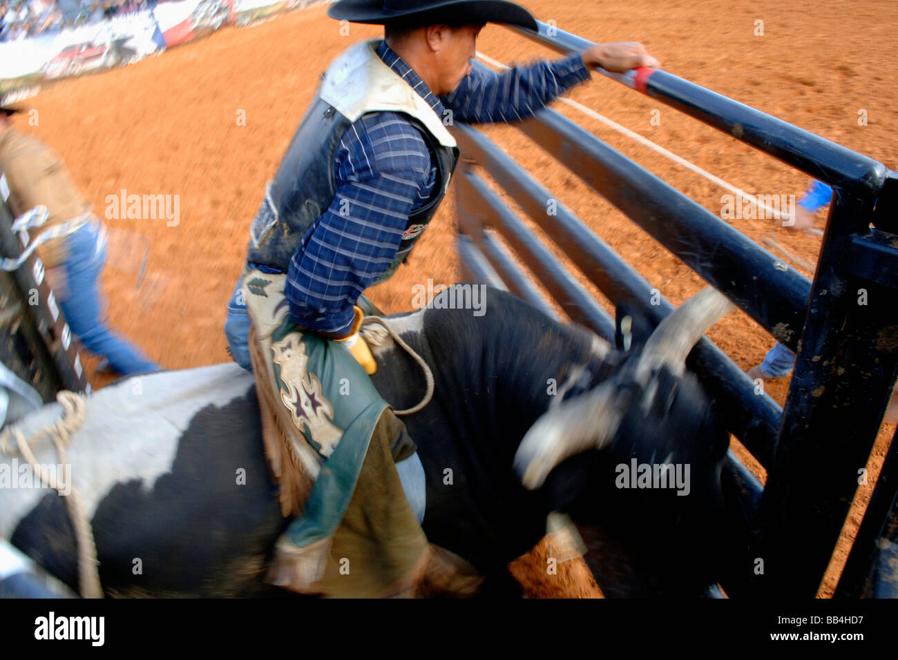 Rodeo bull rider performance at the Texas State Fair rodeo arena/Dallas ...