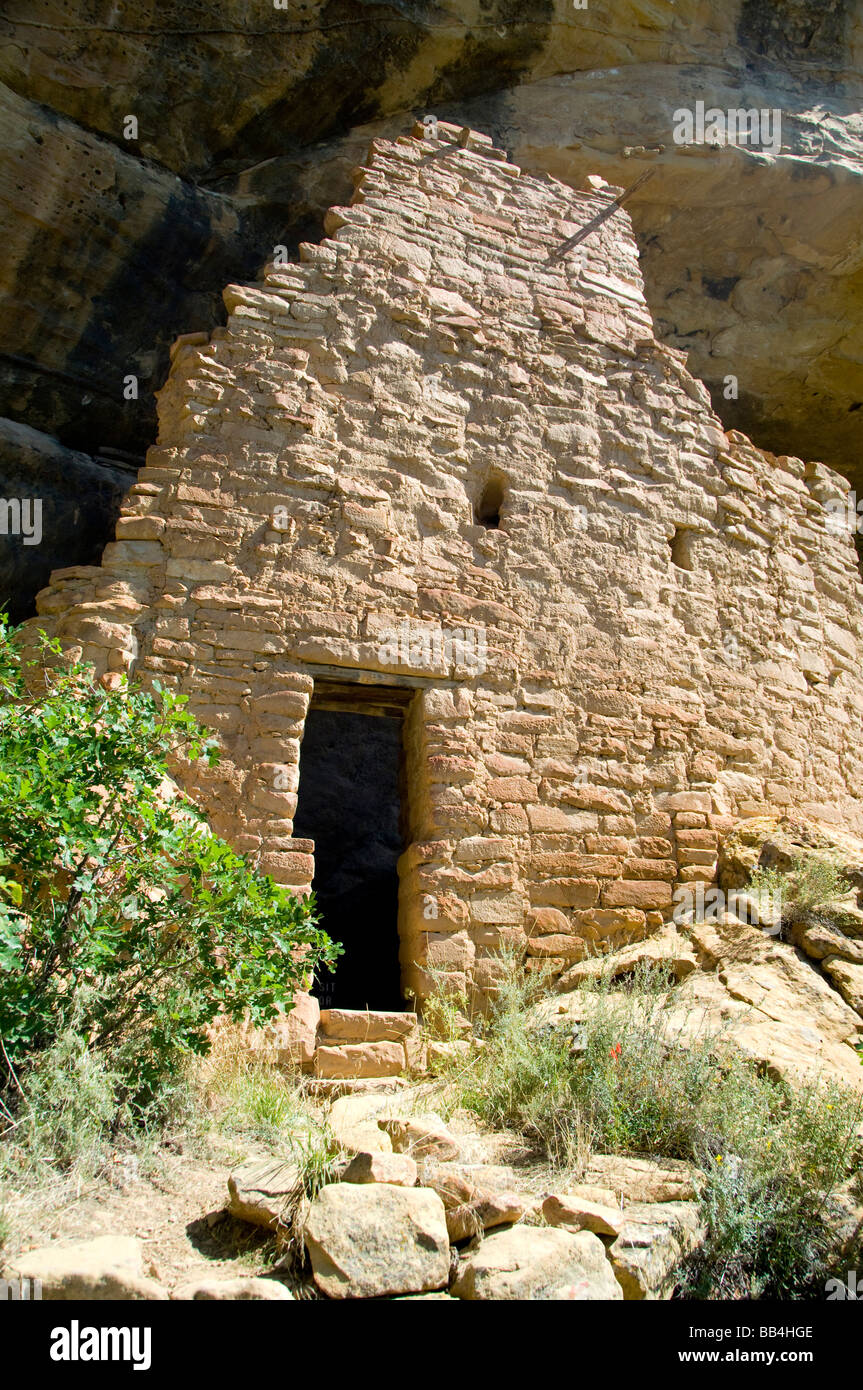 Colorado, Mesa Verde National Park. Spruce Tree House ruins Stock Photo ...