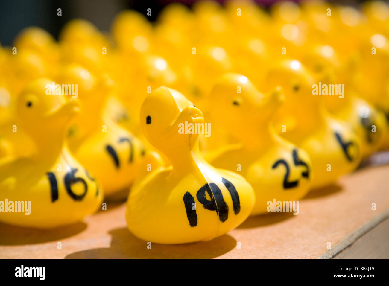 Participants in a Charity plastic duck race at Wallingford, Oxfordshire ...