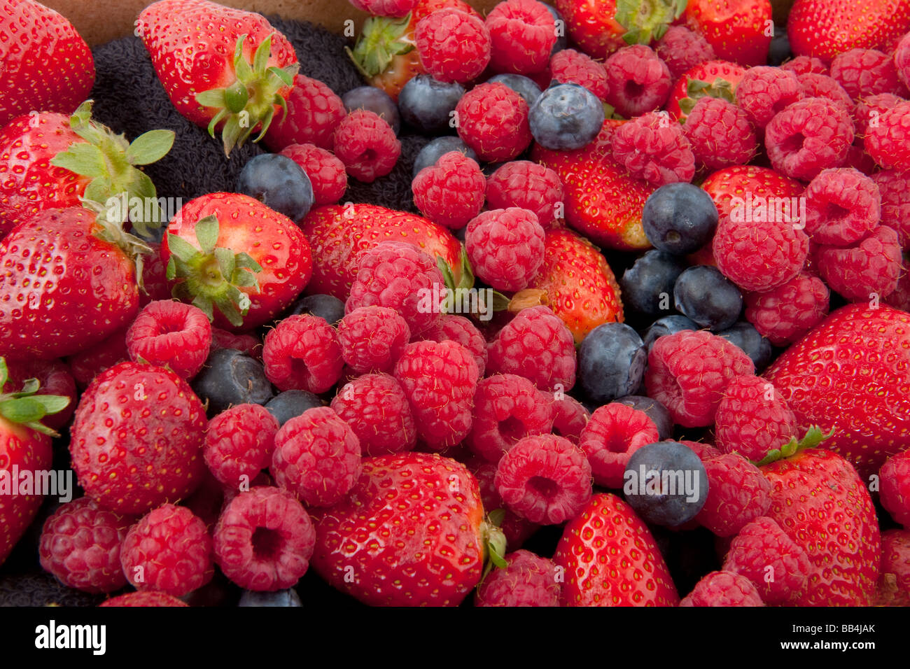 Fresh fruit from the forest Stock Photo - Alamy