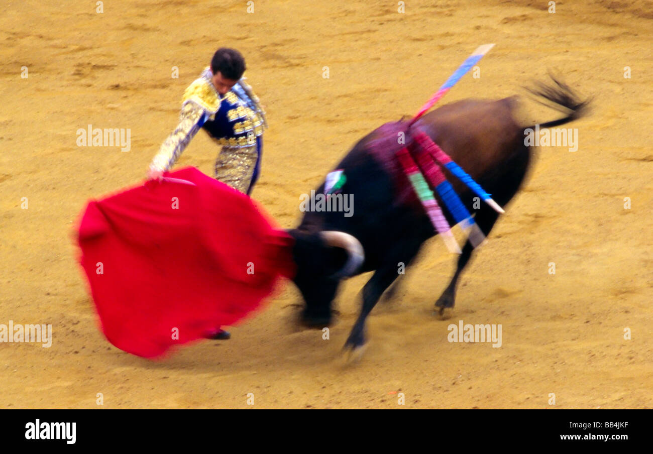 MATADOR AND BULL IN BULLFIGHT BAYONNE BASQUE COUNTRY FRANCE EUROPE ...
