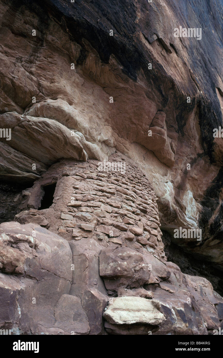 Prehistoric cliff dwelling built by the Anasazi in a backcountry canyon ...