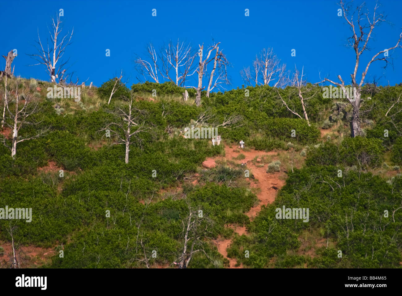 Storm king fire hi-res stock photography and images - Alamy